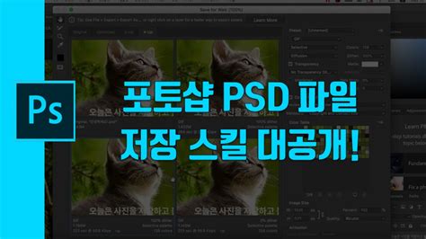 포토샵 기초 강좌 배우기 포토샵 Psd  Png 파일 저장 스킬 비법 네이버 Tv