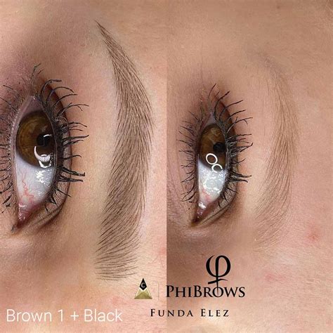 Phibrows Pigment Chart Phibrows Colors Illustrated