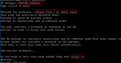 Checking Netapp Filer After A Panic