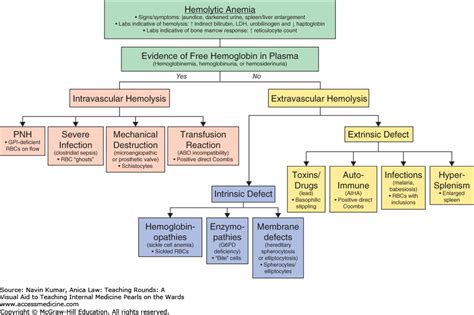 Hemolytic Anemia Chart
