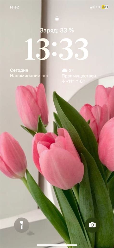 обои цветы время айфон эстетика Розовые тюльпаны Эстетика Обои