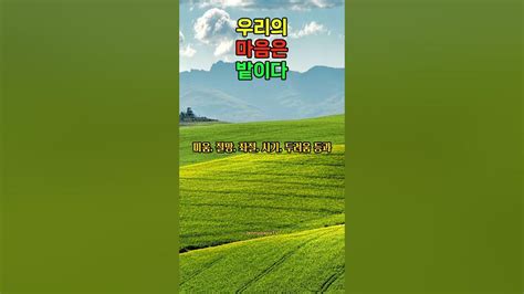 우리의 마음은 밭이다 인생명언 인생조언 삶의지혜 마음다스리기 동기부여 틱낫한 Youtube