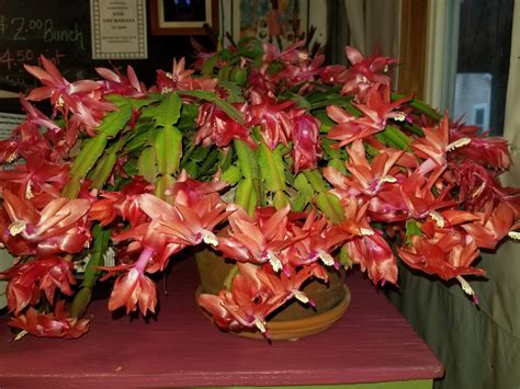 Hillcrest Farm Home Facebook