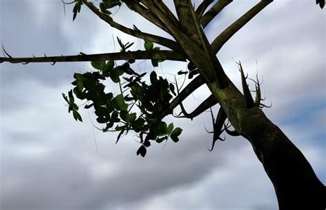 3d Model Fantasy Tree Displacement Maps