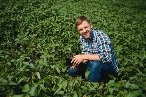 농협가들은 농장에서 자라는 콩 작물을 검사합니다 농업 생산 개념 젊은 농학자는 여름에 현장에서 콩 작물을 검사합니다 콩 밭에 농부 검사 보기에 대한 스톡 사진 및 기타