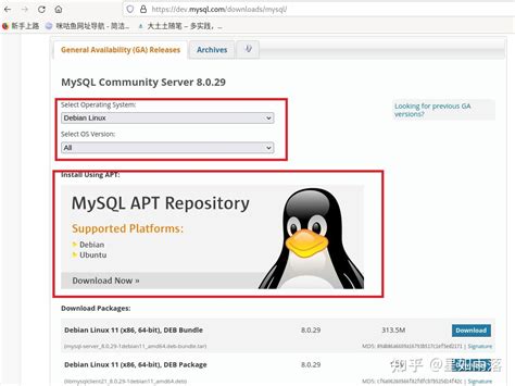 Linux Debian11安装mysql8详细教程