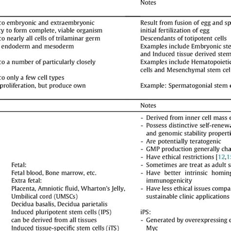 Classification Of Stem Cells According To Differentiation Capacity And