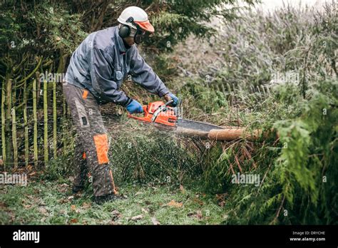 Man Cutting Tree Hi Res Stock Photography And Images Alamy