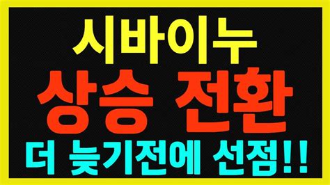 시바이누 삼각수렴 고점 추세선 상승 돌파 급등 임박 Youtube