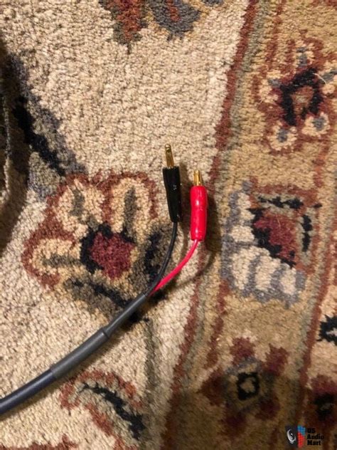 Dh Labs T14 Speaker Cable Bi Wire Set For Sale Us Audio Mart