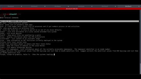 Bash Ls Commands Youtube