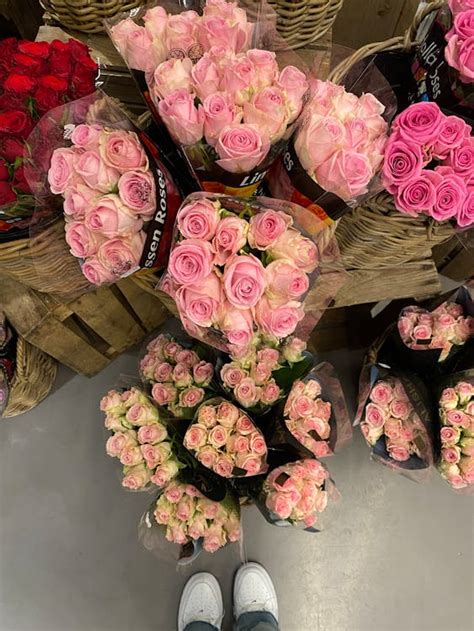 고급 꽃 기념일 꽃 꽃 가게 꽃 장식 꽃꽂이 꽃시장 꽃이 피는 꽃잎 낭만적인 다발 달콤한 로맨스 매력적인 발렌타인 부드러운 부케 분홍색 꽃잎