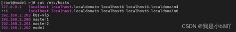 Node节点加入k8s集群时报错：no Such Host Apiserver Lookup Ks Apiserver No Such