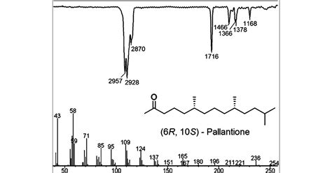 6r 10s Pallantione The First Ketone Identified As Sex Pheromone In Stink Bugs Organic Letters
