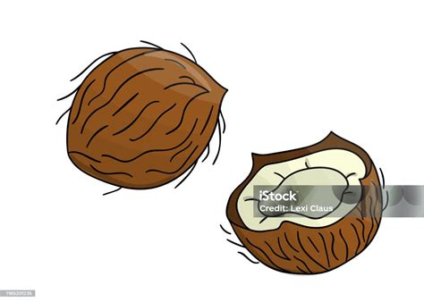 벡터 컬러 코코넛 아이콘입니다 절연 단색 너트 세트 흰색 배경에 고립 된 만화 또는 낙서 스타일의 음식 선 그리기 그림입니다 귀여운에 대한 스톡 벡터 아트 및 기타 이미지