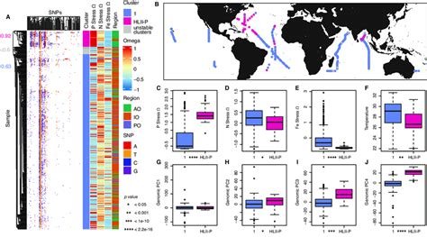 Global Rpoc1 Derived Phylogenetic Diversity Of Prochlorococcus Hlii A Download Scientific