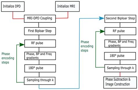 The Flow Chart Of The Complete MRIDPD Method With Spin Echo Sequence
