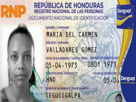 Cn Da Luz Verde Para La Entrega De La Nueva Tarjeta De Identidad