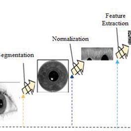 Iris Identification Process Download Scientific Diagram