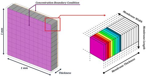 6 Finite Element Model A Specimen Dimensions Discretization And Download Scientific