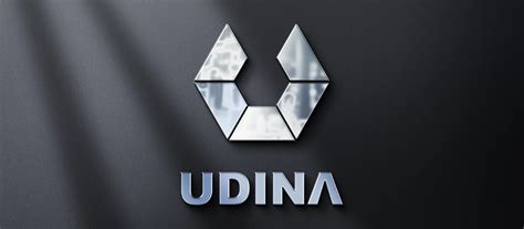 About Udina Btp