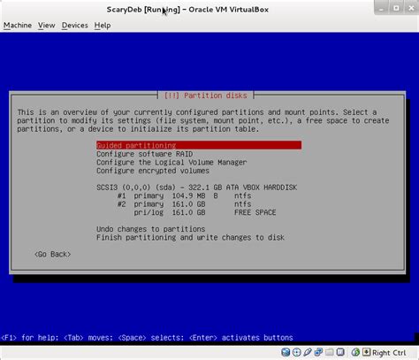 Partition Disks Scarygliders