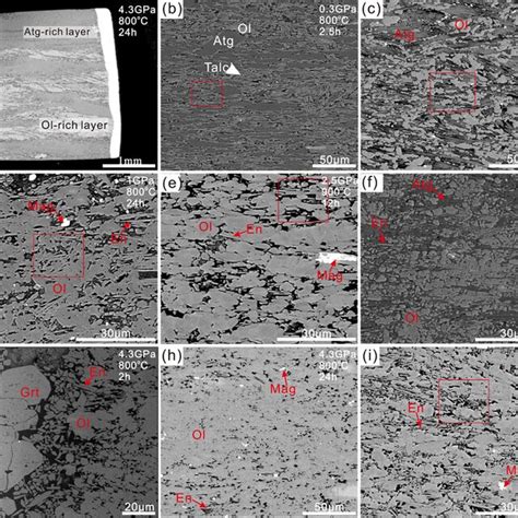Schematic Sample Assemblies For Experiments Conducted In Different