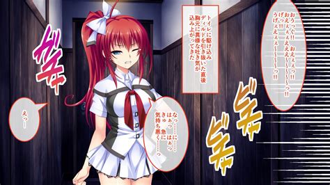 淫妖蟲 凶 〜凌触病棟退魔録〜 Cgノベル版 総集編 どろっぷす！ ｜fanza同人