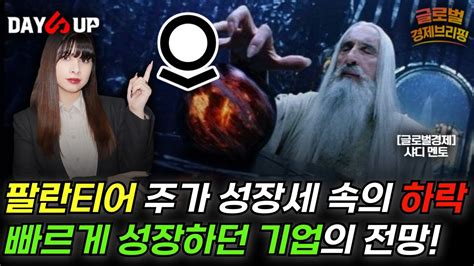 팔란티어 주식 성장 둔화와 전망 주가 하락에 대처하는 방법 Youtube