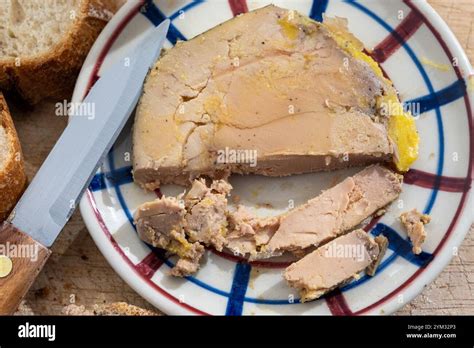 Starter Dish Foie Gras Fat Liver Specialty Food Product Made Of Liver