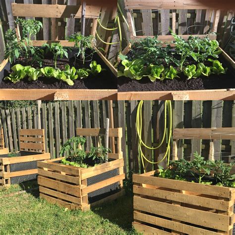 Diy Pallet Garden Box Codyroper