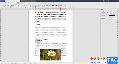 Wps Word文档设置多级标题的方法 电脑技术网 It资讯 游戏攻略 手机教程 电脑教程 无线路由器设置 设置无线路由器 办公软件教程 电脑系统安装 电脑维修知识