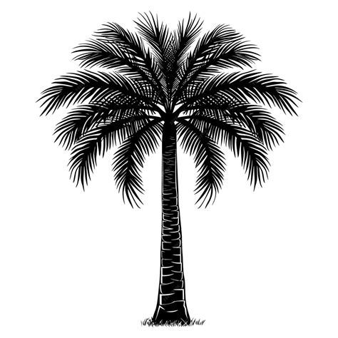 Premium Vector Silhouette Palm Dates Black Color Only