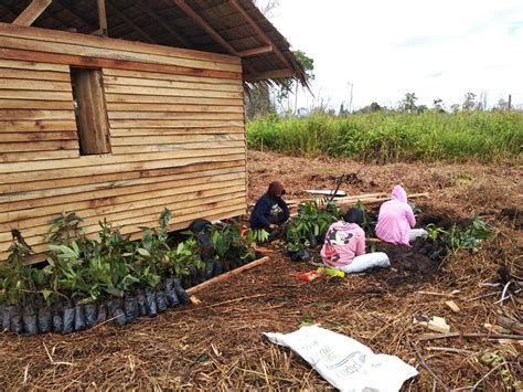 Jariboneobarat Gender Mainstreaming