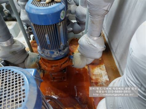 수련원 기계실 순환펌프 메카니칼씰 교체 Dlp 인라인펌프 유지보수 대영파워펌프and인정테크