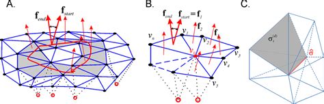 Discrete Geometry Of A Dressed Simplicial Complex A Discrete Download Scientific Diagram
