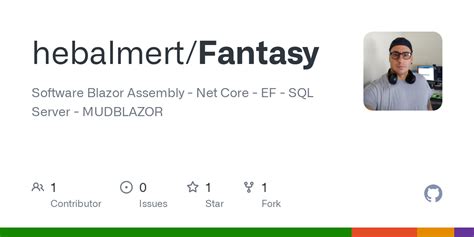 GitHub Hebalmert Fantasy Software Blazor Assembly Net Core EF