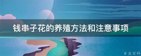 钱串子花的养殖方法和注意事项 业百科
