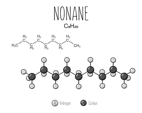 Premium Vector Nonane Skeletal Structure And Flat Model Representation Isolated On A Blank