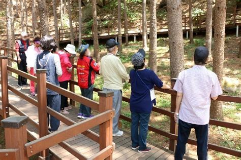 동두천시 생연2동 지역사회보장협의체 치유의 숲 “인생의 봄날” 체험 진행경인투데이뉴스