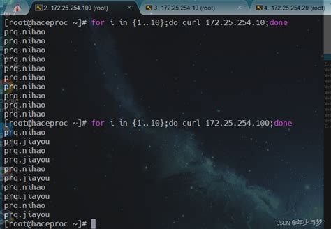 Haproxy七层代理utilize System Wide Crypto Policies Csdn博客