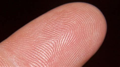 Using ImageMagick To Process Fingerprint Photos Legacy ImageMagick
