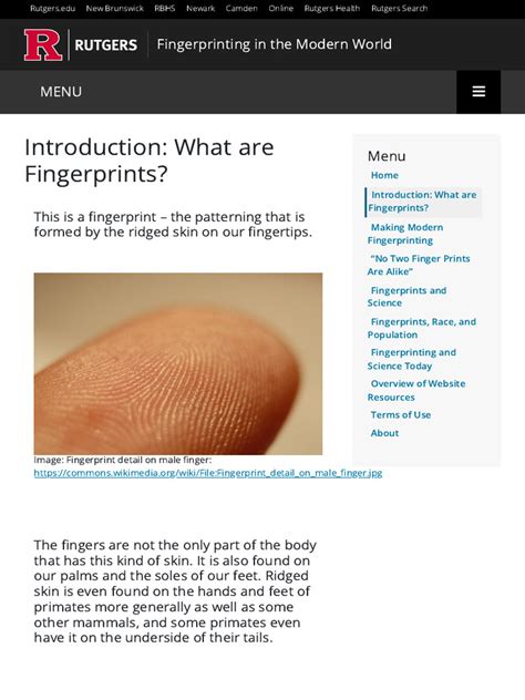 Introduction What Are Fingerprints Pdf Fingerprint Security