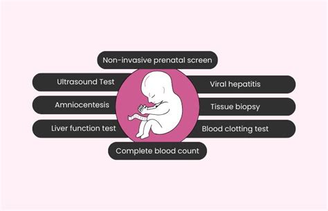 AFP Test Pregnancy What Is It And Why Is It Done