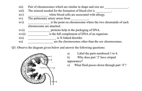 Xii Pair Of Chromosomes Which Are Similar In StudyX