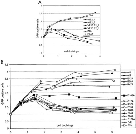 Plasmid Partitioning Assay Jurkat Cells Were Transfected With Prete2 Download High Quality