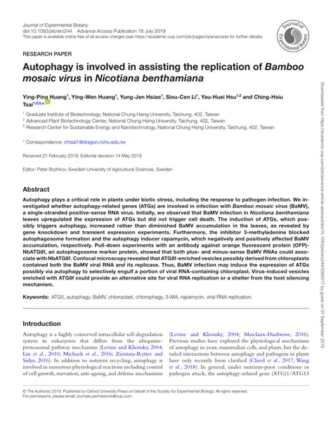 Pdf Autophagy Is Involved In Assisting The Replication Of Bamboo Mosaic Virus In Nicotiana