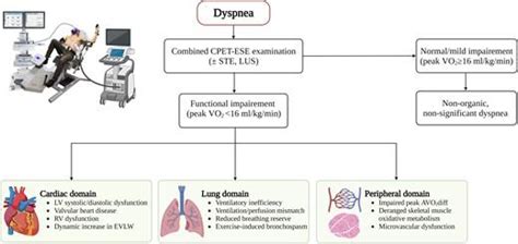 Combining Cardiopulmonary Exercise Testing With Echocardiography A