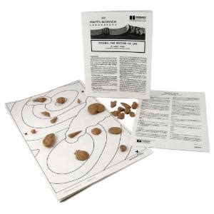 Fossil Laboratory Boreal Science