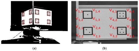 Robotics Free Full Text Metrological Characterization Of A Vision Based System For Relative